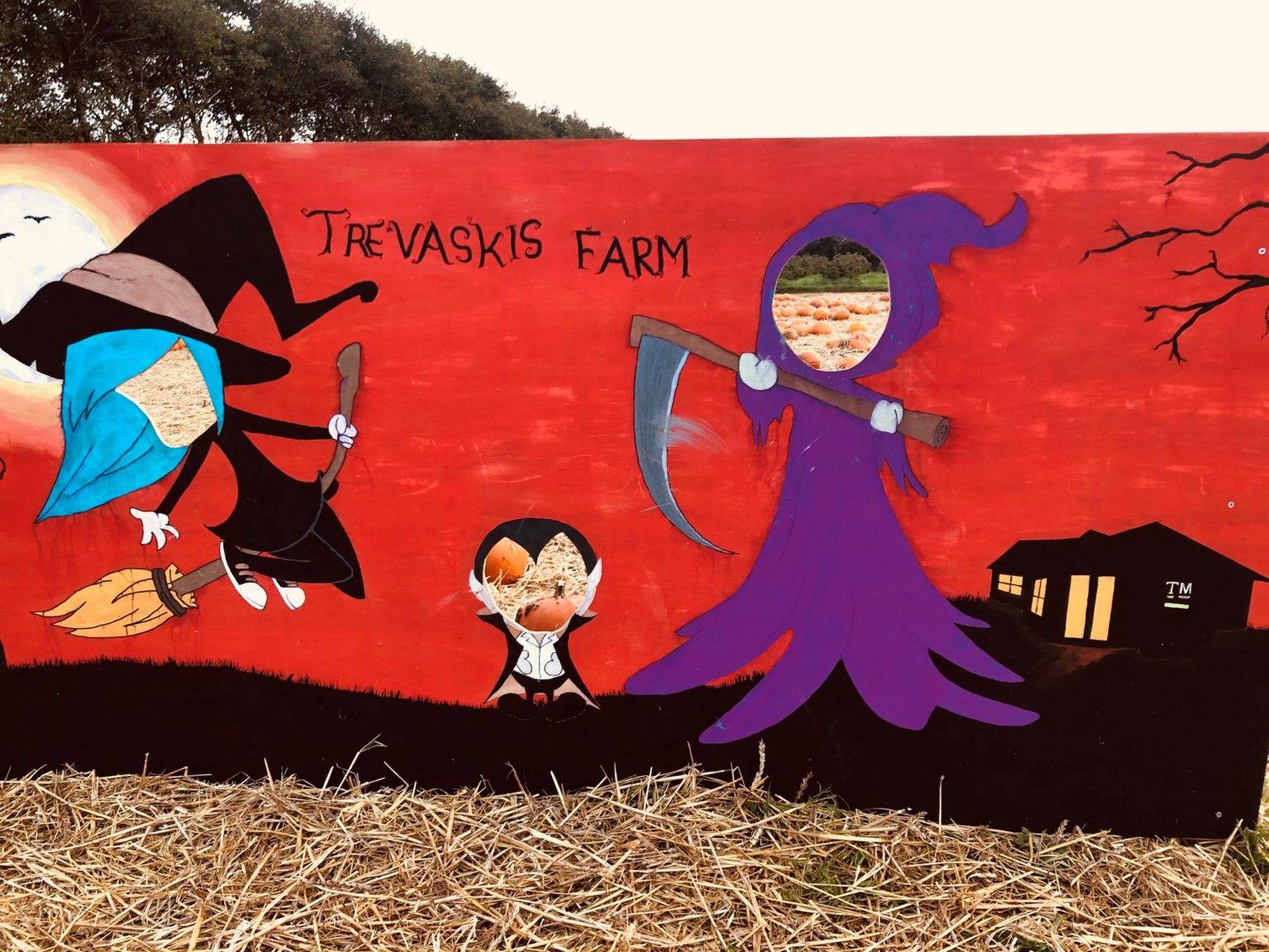 Best Places To Go Pumpkin Picking Cornwall 2025