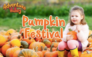 Best Places To Go Pumpkin Picking Newcastle in 2022