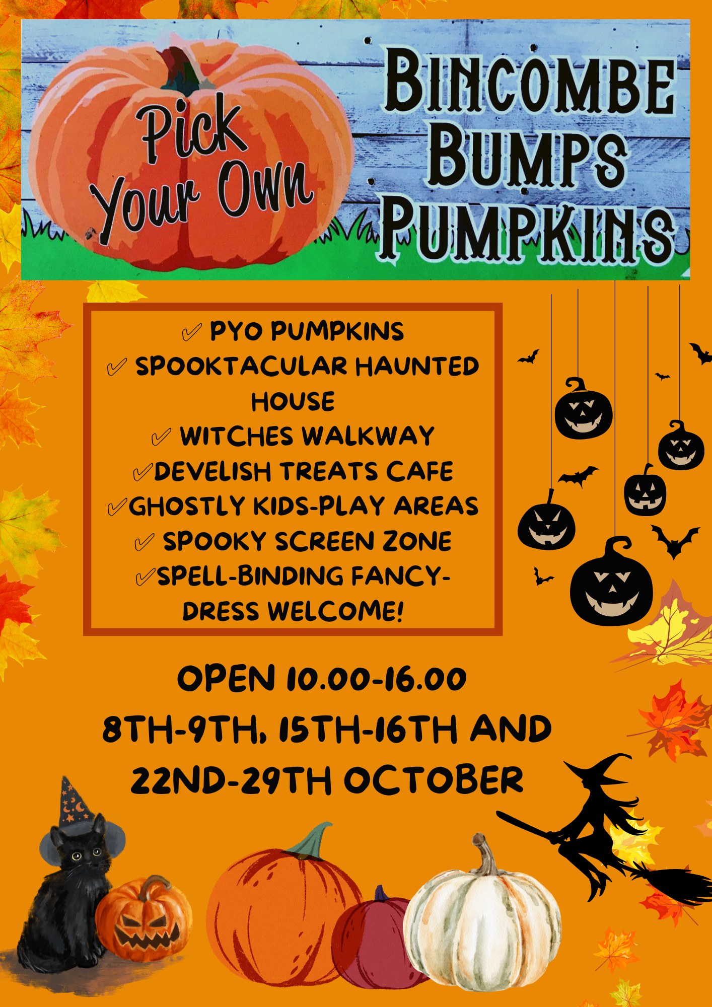 Best Places To Go Pumpkin Picking Dorset in 2025