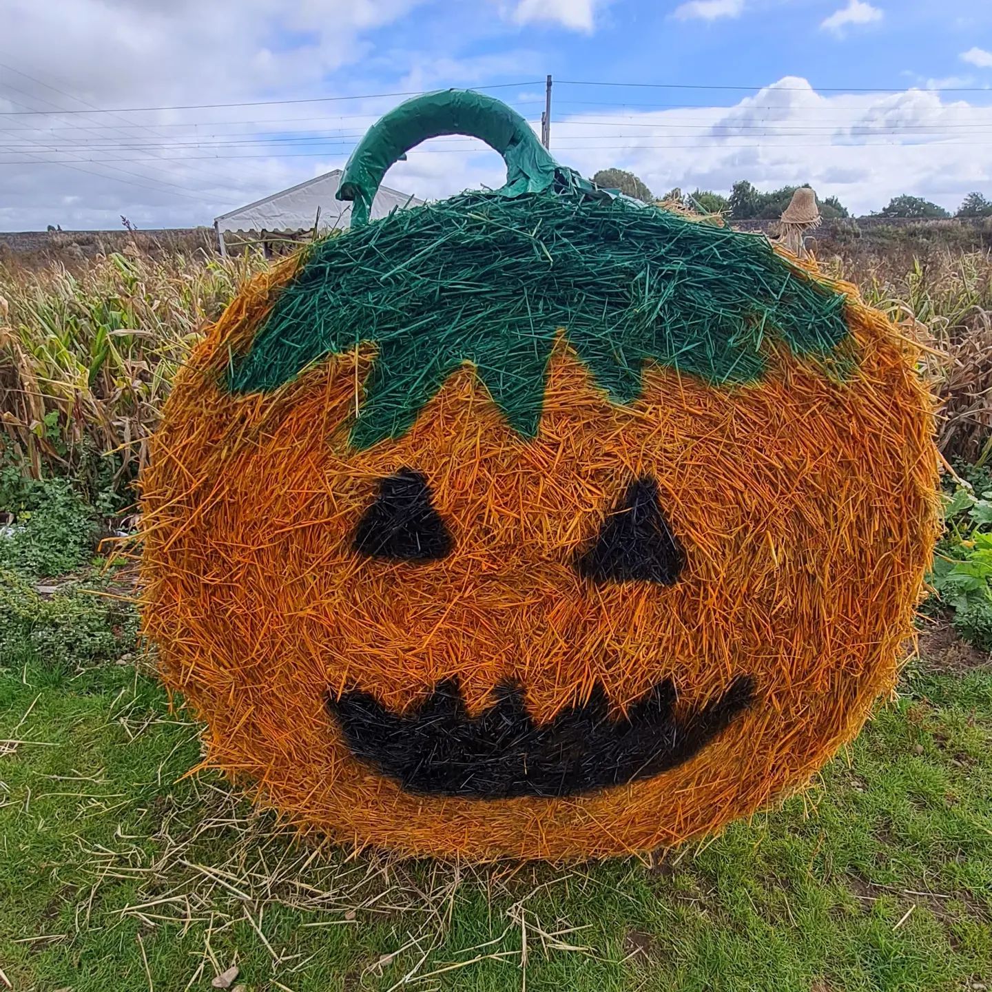 Best Places To Go Pumpkin Picking Staffordshire in 2025