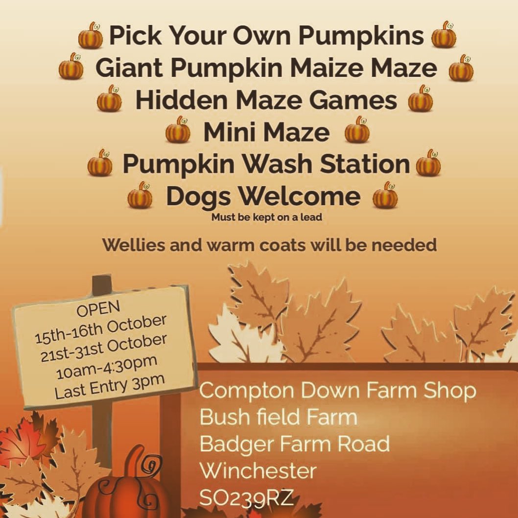 Best Places To Go Pumpkin Picking Hampshire in 2025