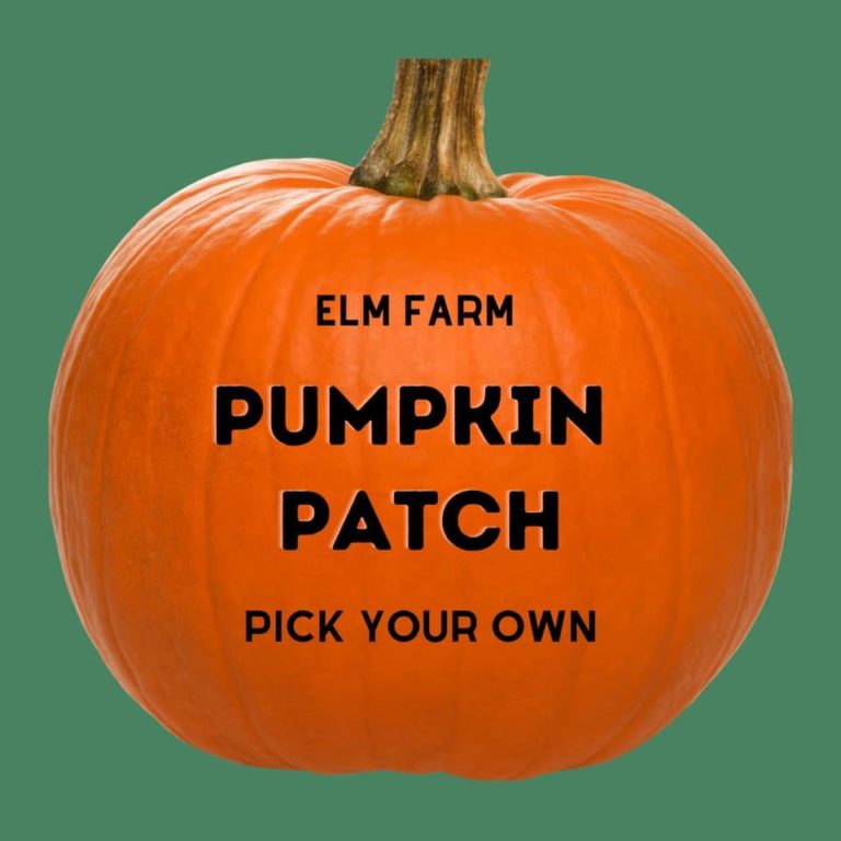 Best Places To Go Pumpkin Picking Gloucestershire in 2025