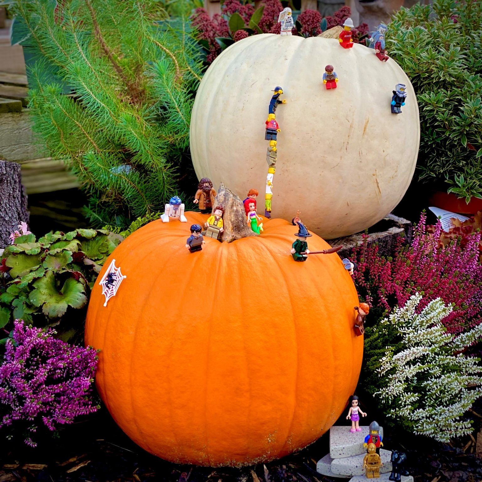 Best Places To Pumpkin Picking Surrey in 2024