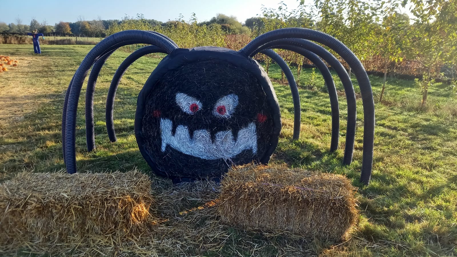 Best Places To Go Pumpkin Picking Wiltshire in 2025