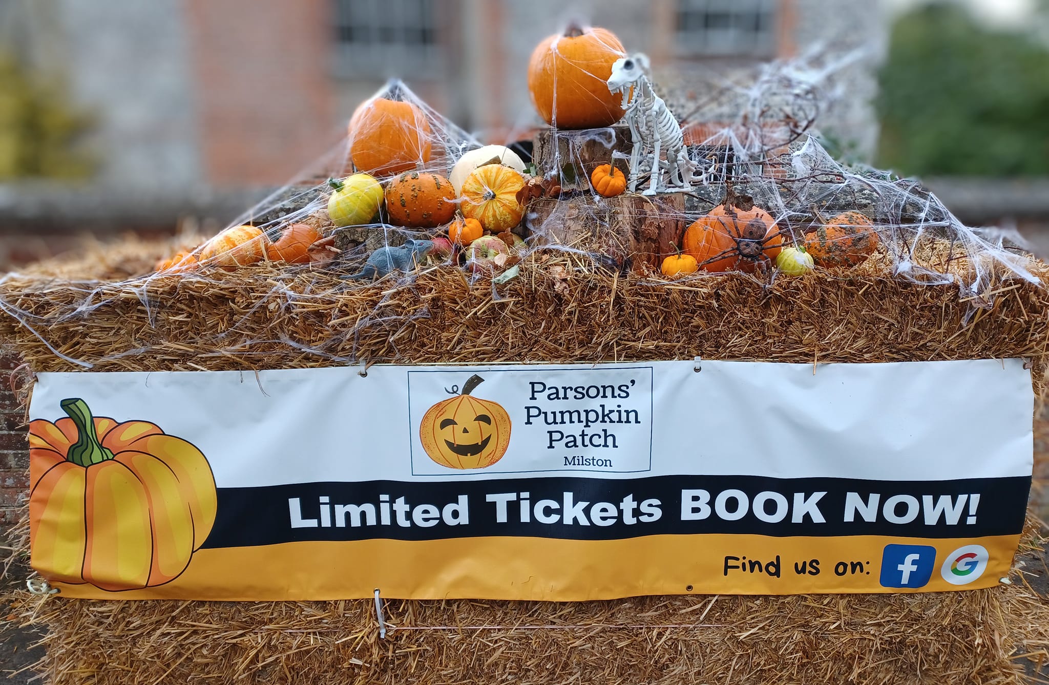 Best Places To Go Pumpkin Picking Wiltshire in 2025