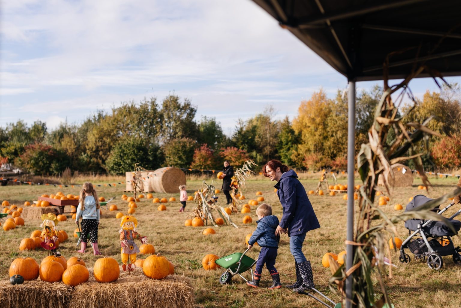 Best Places To Go Pumpkin Picking Lincolnshire in 2025