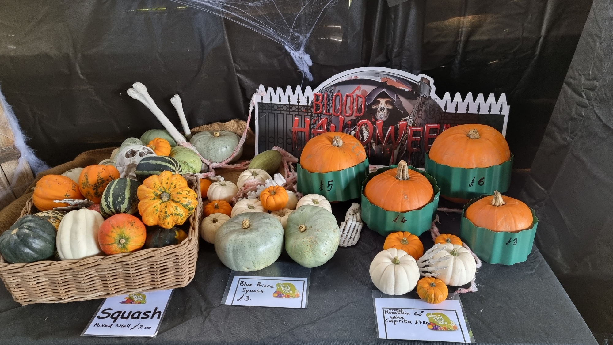 Best Places To Go Pumpkin Picking Devon in 2022