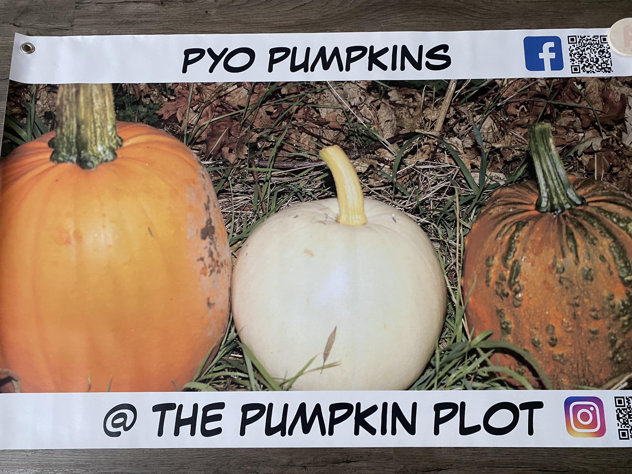 Best Places To Go Pumpkin Picking Derbyshire in 2022