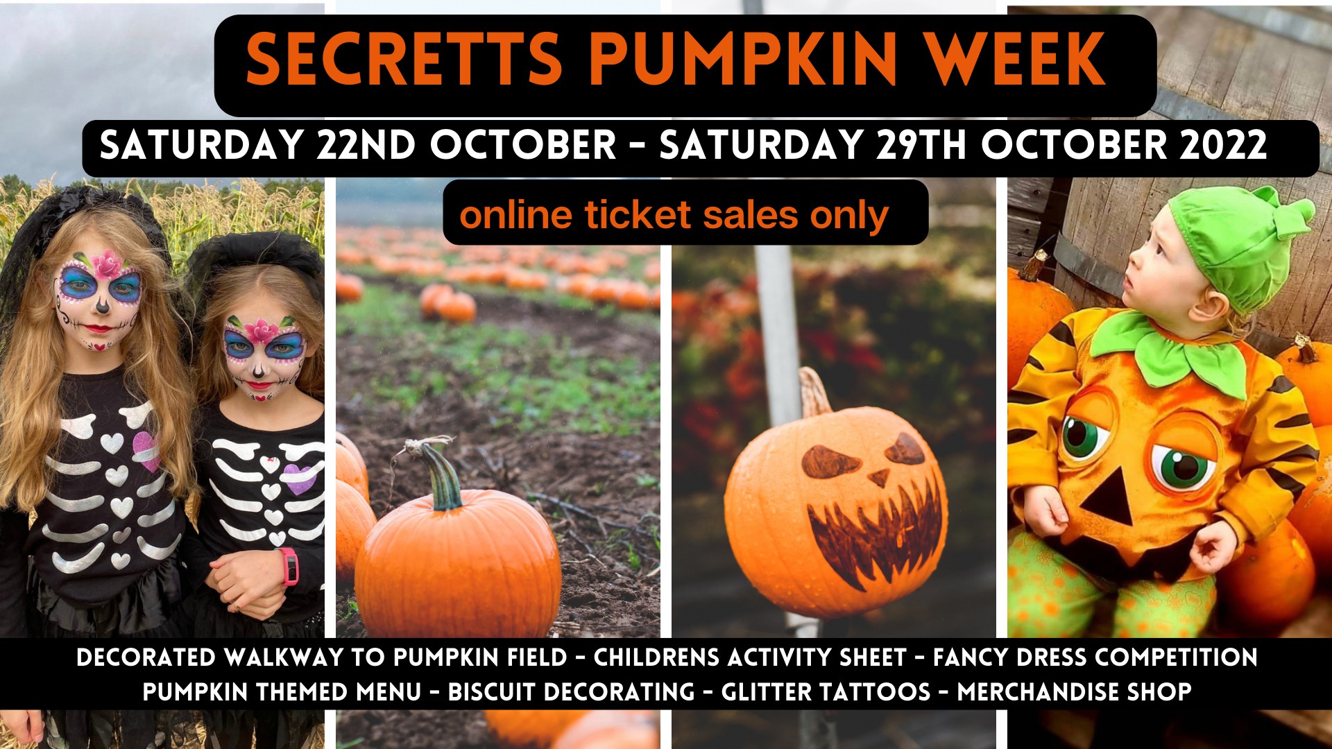 Best Places To Pumpkin Picking Surrey in 2024