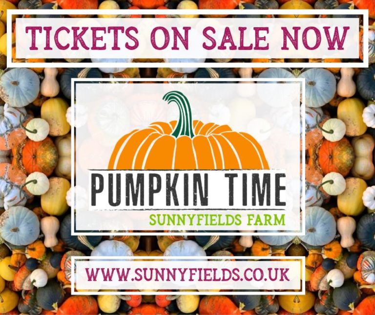 Best Places To Go Pumpkin Picking Hampshire in 2025