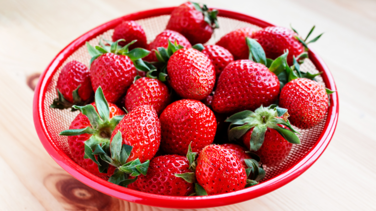 Best Strawberry Picking Michigan 2024