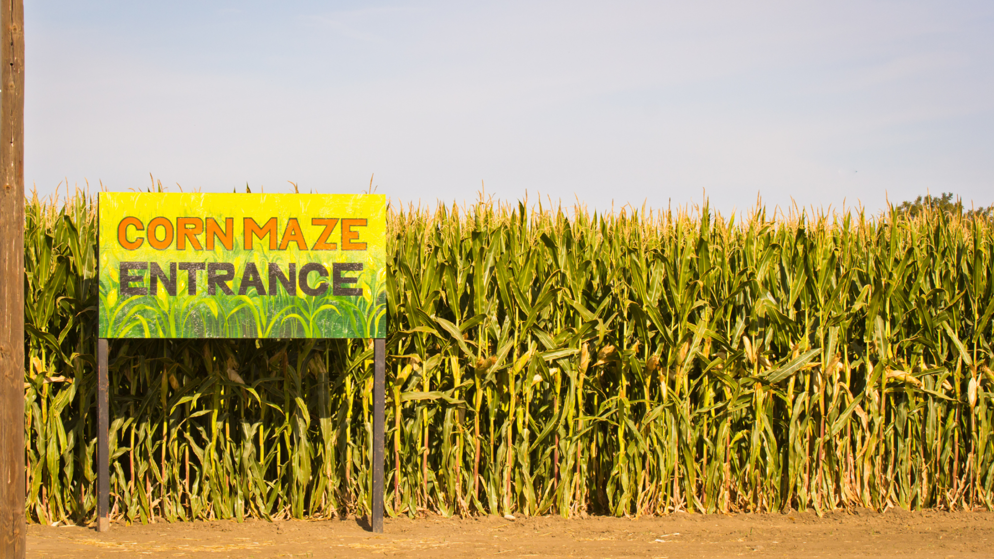 Best Corn Mazes Michigan Has To offer 2025