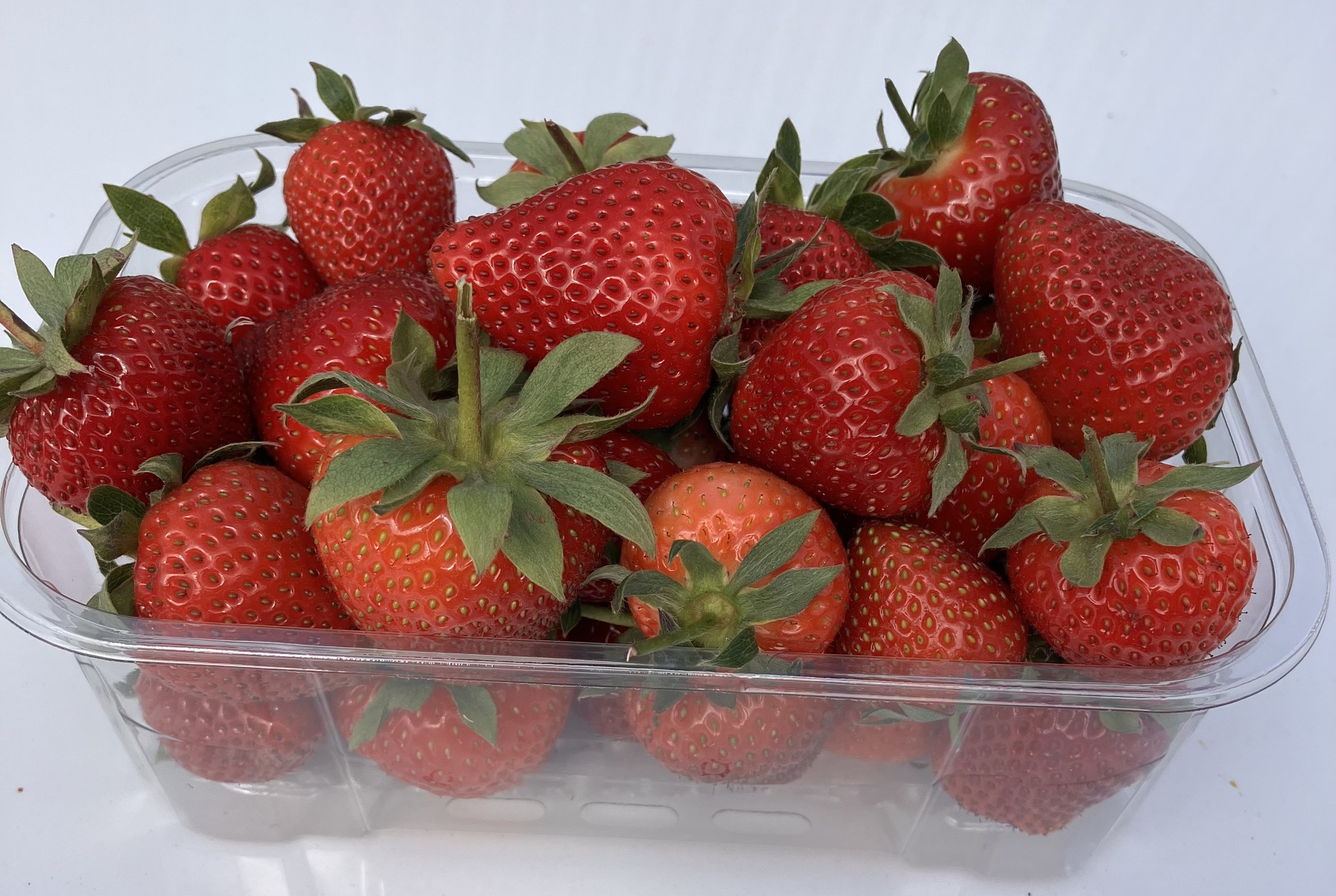 Best Strawberry Picking Lincolnshire Has To offer 2026