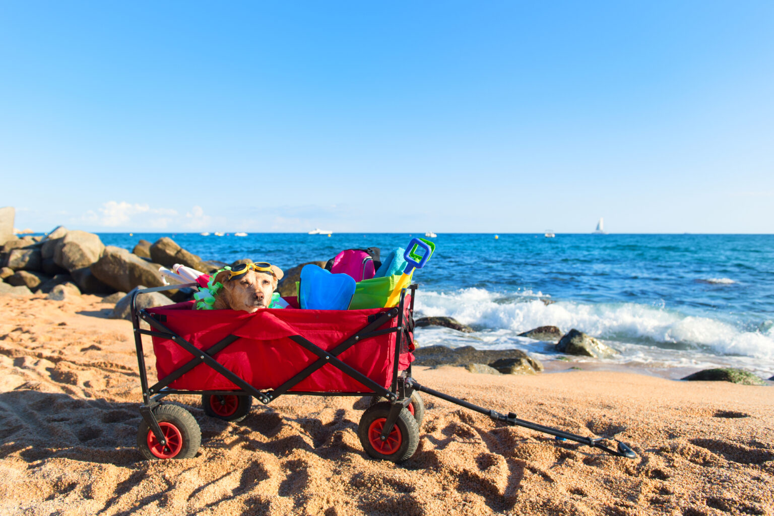 Best Beach Trolleys To Consider in 2025