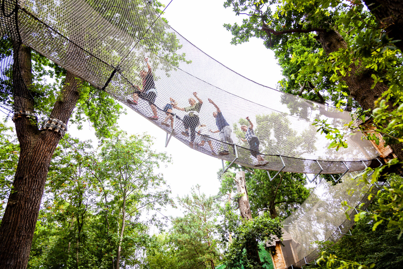 Find The Perfect Outdoor Adventures at Go Ape