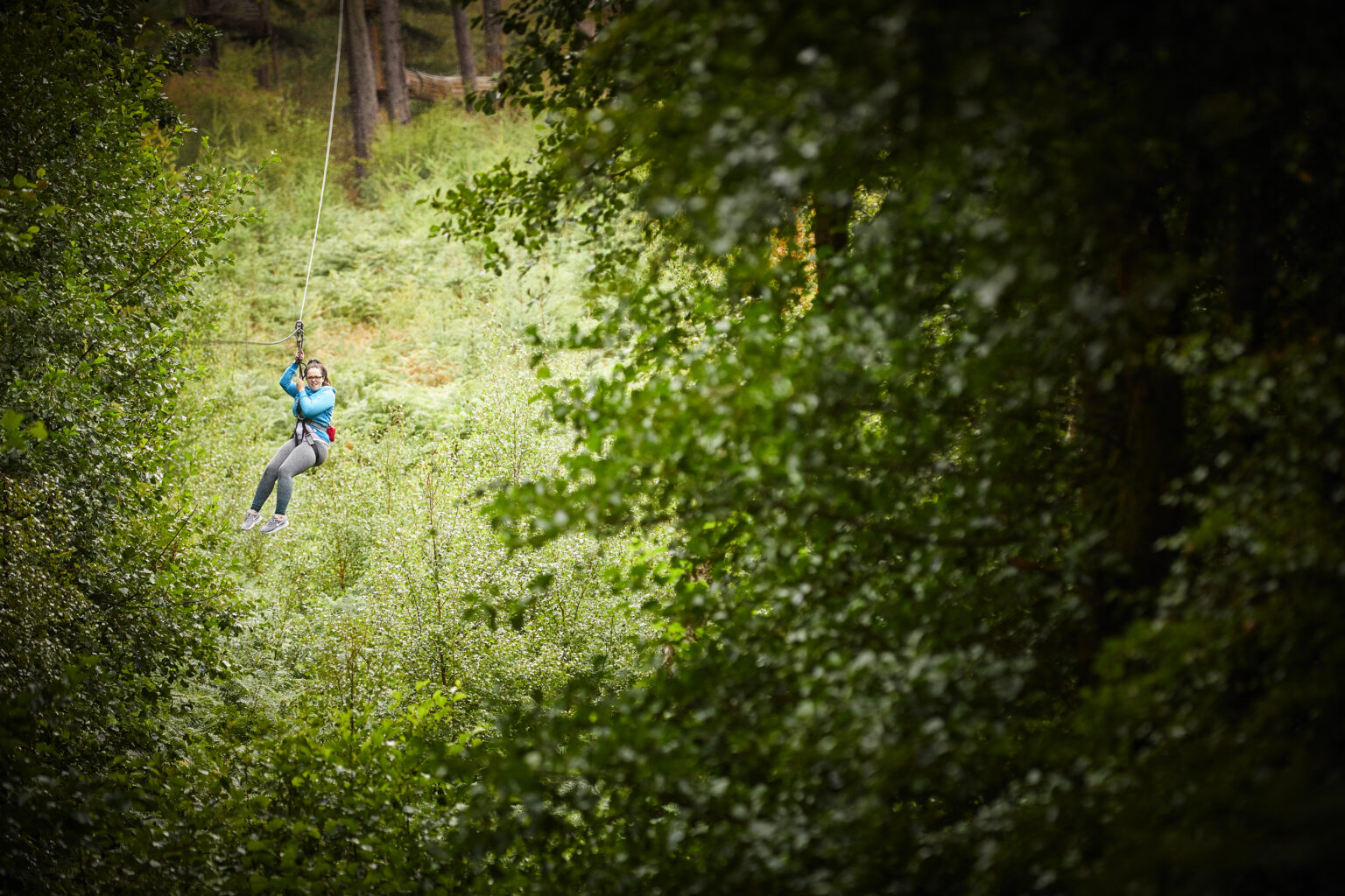 Find The Perfect Outdoor Adventures at Go Ape