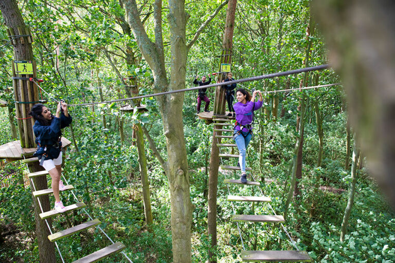 Find The Perfect Outdoor Adventures at Go Ape