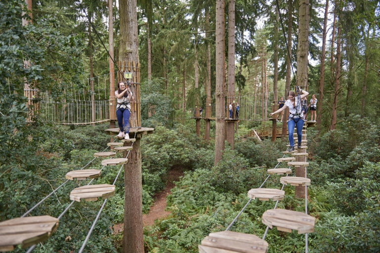 Find The Perfect Outdoor Adventures at Go Ape